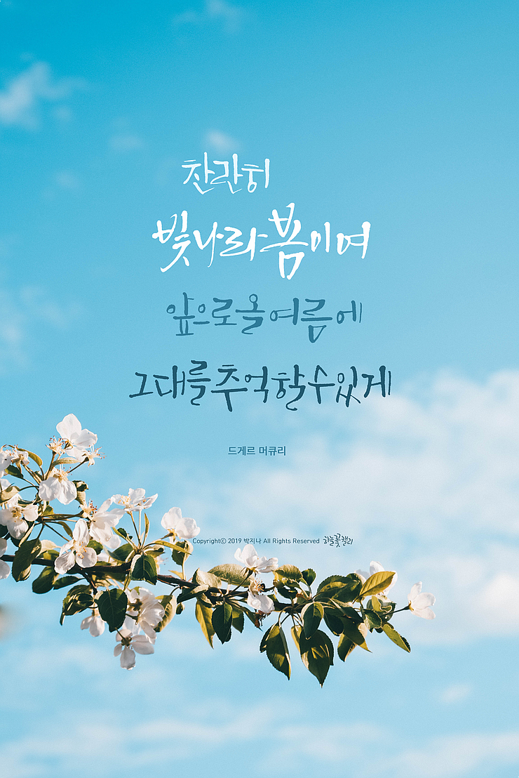 캘리그라피 감성글 좋은글 감성글귀 좋은글귀 봄관련글귀 찬란히 빛나라 봄이여 드게르 머큐리 네이버 블로그